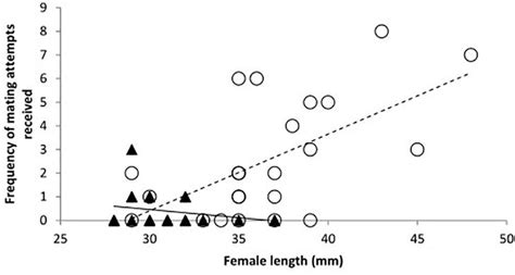 Frontiers Prioritizing Sex Recognition Over Learned Species