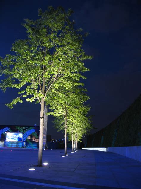 Tree Lighting Landscape Lighting Landscape Lighting Design Outdoor Landscape Lighting