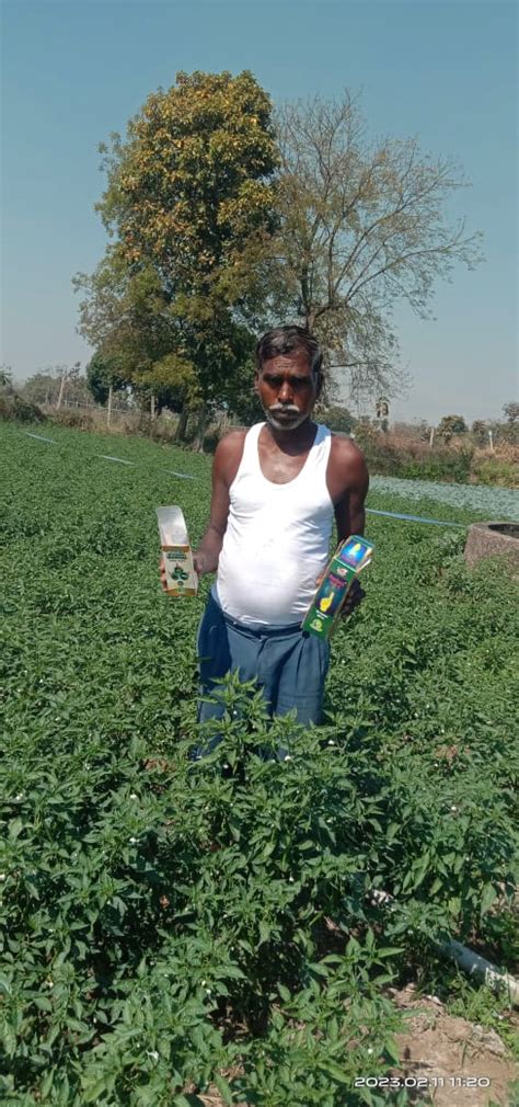 Field Activities Perfect Cropscience Pvt Ltd