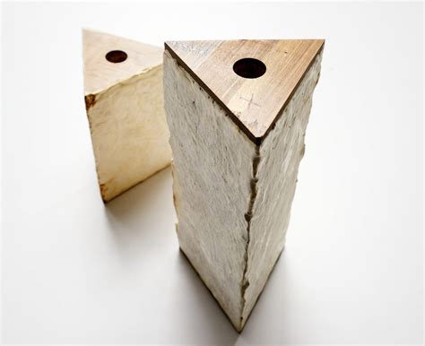 Structure Shows How Mushrooms Could Create Building Frameworks