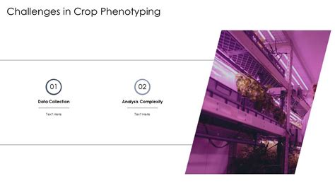 Crop Phenotyping Plant Traits Analysis Agriculture Ppt Powerpoint St Ai