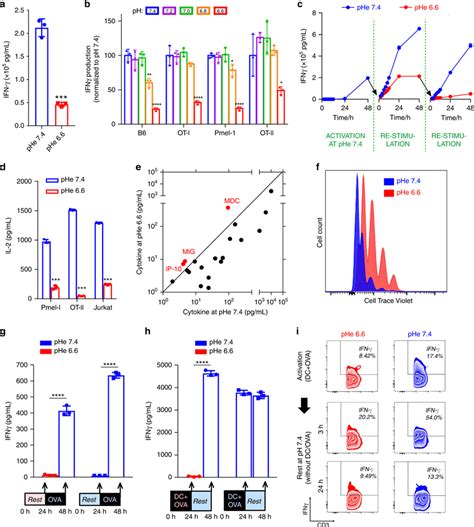 T Cell Effector Functions Are Inhibited At Acidic Ph A Interferon γ Download Scientific Diagram