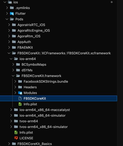 Ios Showing Error When Try To Upload On Testflight Asset Validation