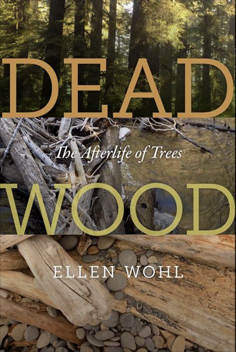 “dead Wood The Afterlife Of Trees” By Ellen Wohl Out There Outdoors