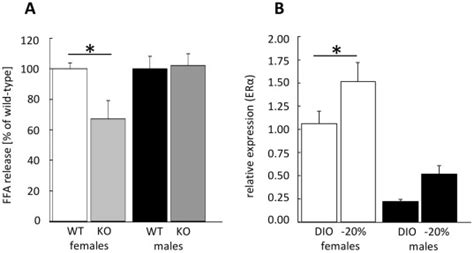 A Ex Vivo Lipolysis Assay In Murine Gonadal At Explants From Wild Type