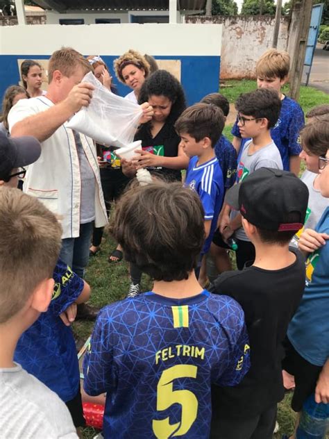 6 Ano Alfa Projeto Alfa Umuarama Ensino Fundamental 2