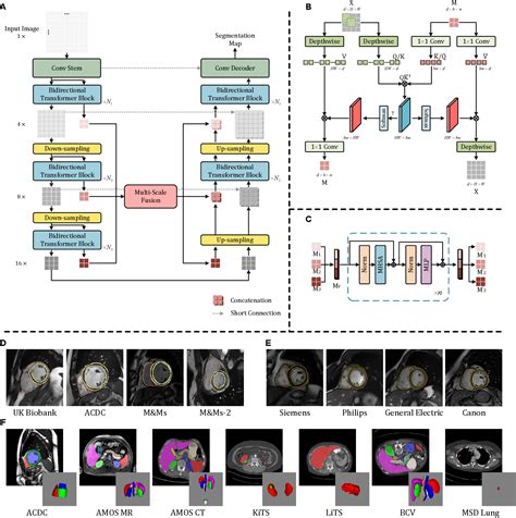 Figure From A Data Scalable Transformer For Medical Image Segmentation Architecture Model
