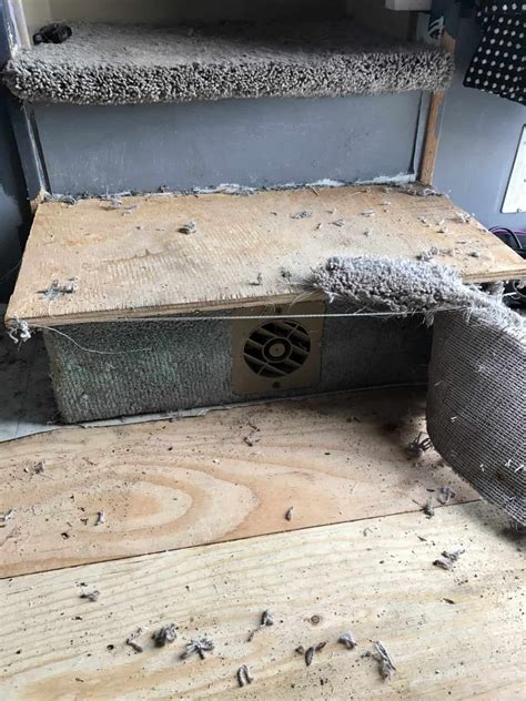 Rv Flooring How To Install Step By Step Artofit