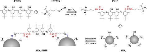 Schematic Illustration Of The Whole Preparation Process Of Sio2 Pbip Download Scientific Diagram
