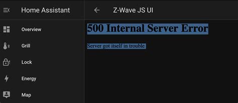 500 Errors Trying To Load Node Red Or Zwavejs Addon Uis Third Party