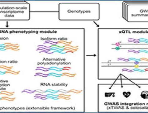 Oasis Online Analysis Of Small Rna Deep Sequencing Data Rna Seq Blog