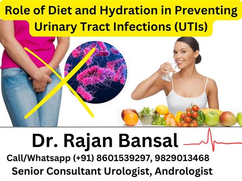 Fosfomycin In Uti Management Its Role In Multi Drug Resistant Infections