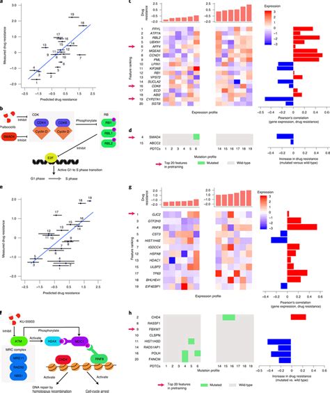Model Interpretation To Identify Predictive Markers A Measured Versus Download Scientific