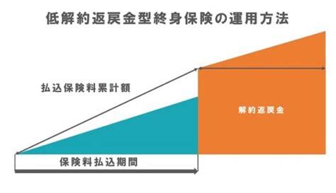 生命保険の解約返戻金って何読み方や受け取れる金額をわかりやすく解説 保険のはてな