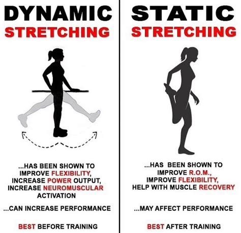 static vs dynamic stretches
