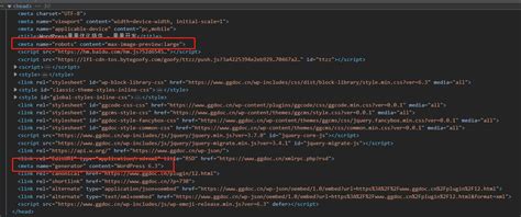 WordPress果果优化插件使用教程 果果开发