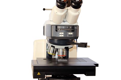 Digital Microscopes And Microscope Cameras Deltapix Deltapix