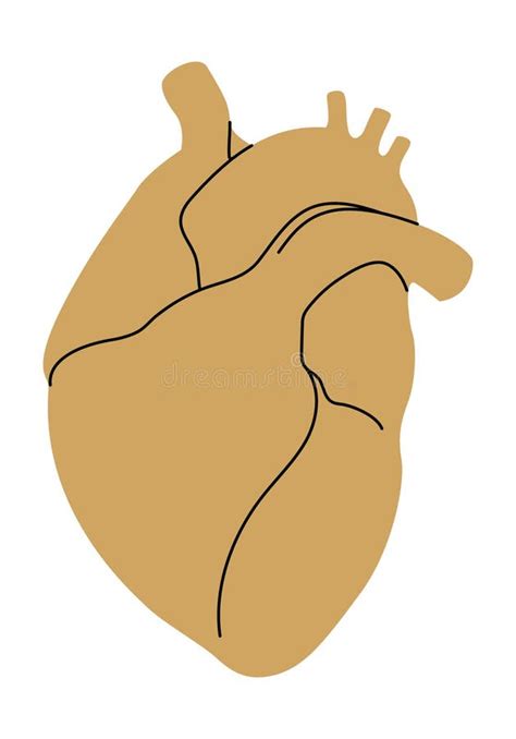 Anatomical Human Heart In Flat Vector Illustration Symbolizing