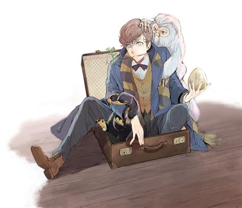 Newt Scamander Niffler Bowtruckle And Demiguise Wizarding World And