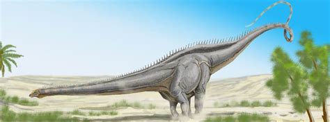 10 Interesting Diplodocus Facts