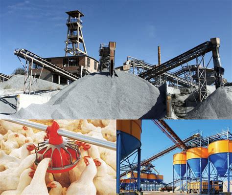 Material Handling Equipment And Projects Industrial Conveyors Bucket Elevators Screw Feeders