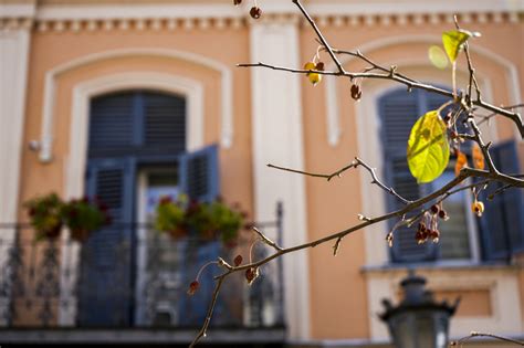 Нови Сад у слици Уторак 7 мај Градске инфо