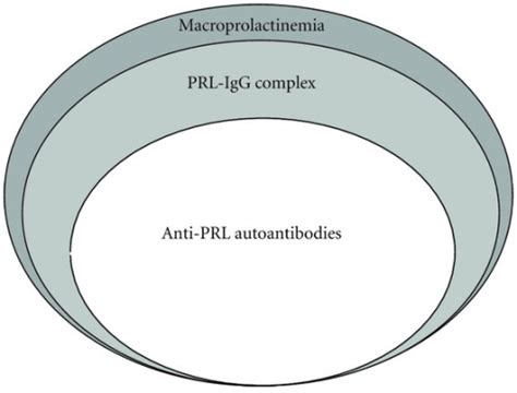 Macroprolactinemia Igg Bound Prl And Anti Prl Autoant Open I