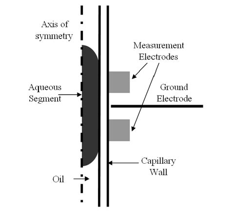Schematic Diagram Of A Cross Section Of The Sensor The Axis Of Download Scientific Diagram