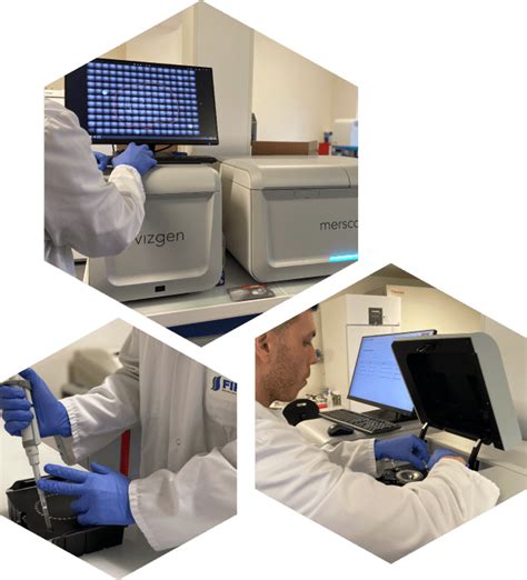 Spatial Transcriptomics Services Capture Transcriptional Activity