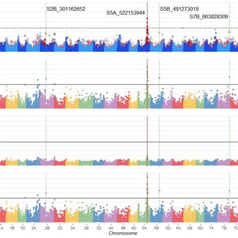 Stacked Manhattan Plot Of Multi Trait Gwas Models For Seedling