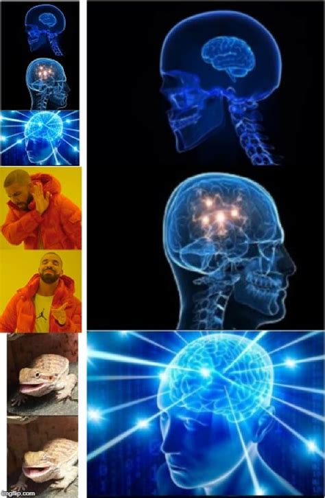 Butter The Nested Meme Dragon Rmemes