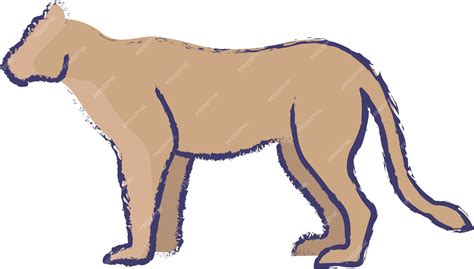 암사자 손으로 그린 벡터 일러스트 레이 션 프리미엄 벡터