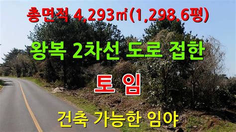 1123 땅매매 토지매매 왕복 2차선 도로가 접하고 있어 접근성이 좋고 도로가 접한 면이 아주 넓어 접근성이나 활용성이 좋은 땅입니다 Youtube