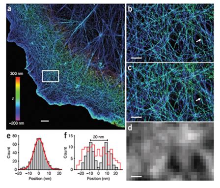 Recent Developments In High Spatial Temporal Image Based Tracking Of Proteins In Subcellular