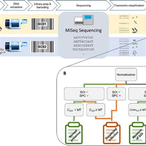 Complete Workflow For Clinical Metagenomic Analysis Of BAL Samples A Download Scientific