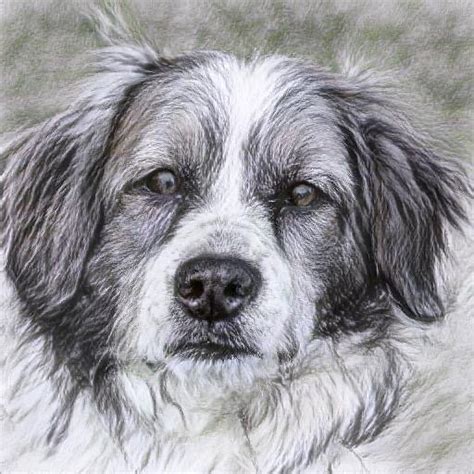 Regularization Prevents Leakage Without Regularization Top Row New Download Scientific