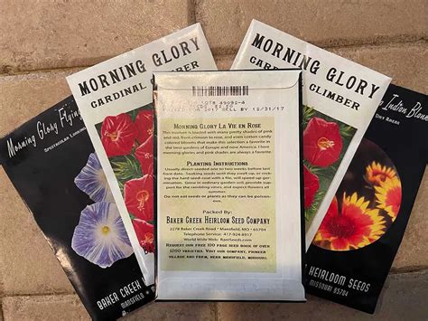 Seed Starting 101 A Beginner S Guide To Successfully Starting Seeds Garden Lovers Club