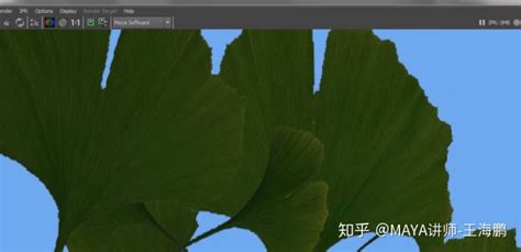 Unity透明通道加颜色树叶透明贴图的制作原理及渲染！ Csdn博客