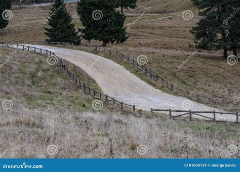 Grassy Fields Royalty Free Stock Image 116992768 Grassy Fields Royalty Free Stock Image 116992768
