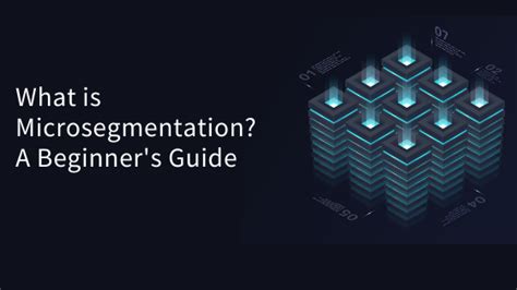 What Is Microsegmentation A Beginners Guide Instasafe Blog