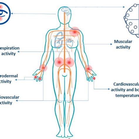 Illustration Of Dipoles In Different Orientations With Respect To The Download Scientific