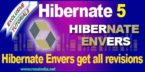 Hibernate Envers Get All Revisions