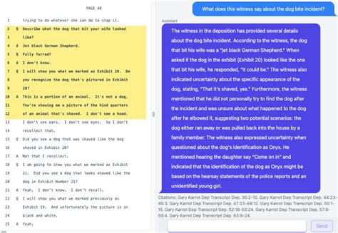 Ai Deposition Transcript Software Dodonai