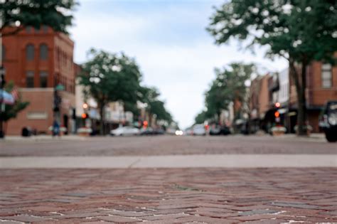 Bugs In My Backyard Printing Proof From Morris Press For Our Latest