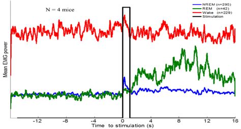 5 The Average Effect Of Sensory Stimulation On Each Vigilance State