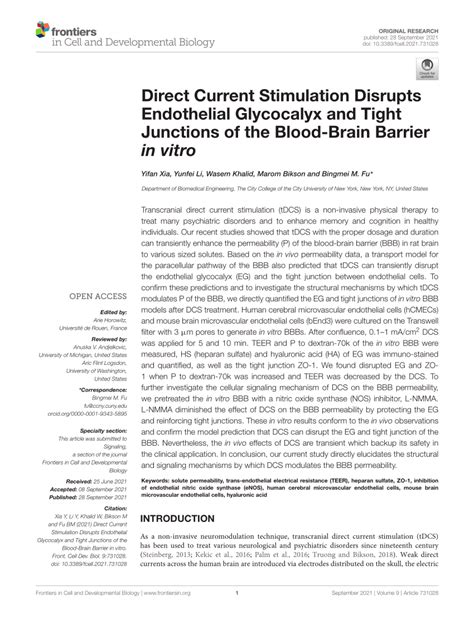 PDF Direct Current Stimulation Disrupts Endothelial Glycocalyx And Tight Junctions Of The