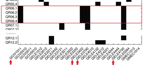 Slice Of The Q Matrix Transposed Showing That The Four Skills For Download Scientific Diagram