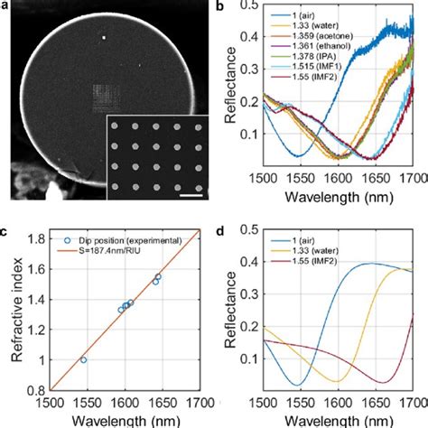 Optical Refractive Index Sensor Based On An SMF A SEM Image Of The Download Scientific