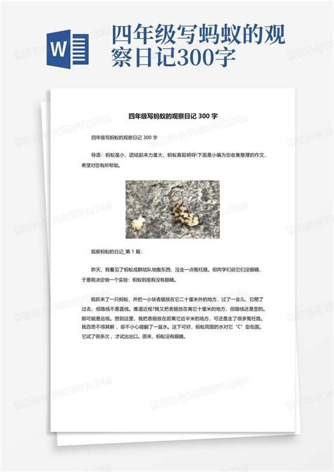 四年级写蚂蚁的观察日记300字Word模板下载 编号lkgkeaxv 熊猫办公