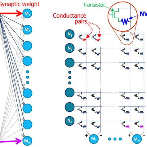an analog based deep learning accelerator uses a crossbar memory array download scientific